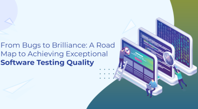 From Bugs to Brilliance: A Roadmap to Achieving Exceptional Software ...